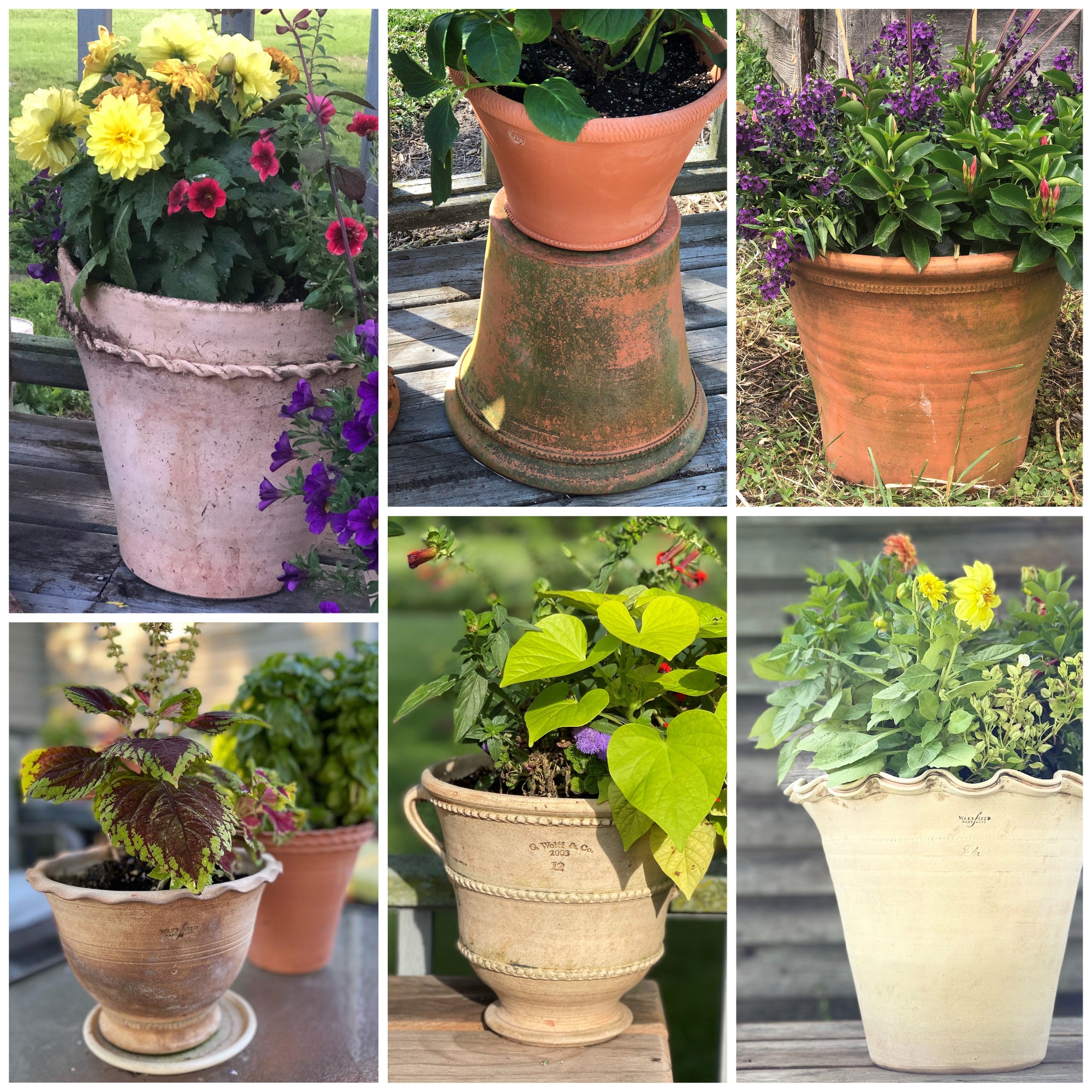 Patina on Terracotta Flowerpots - Wakefield Handmade