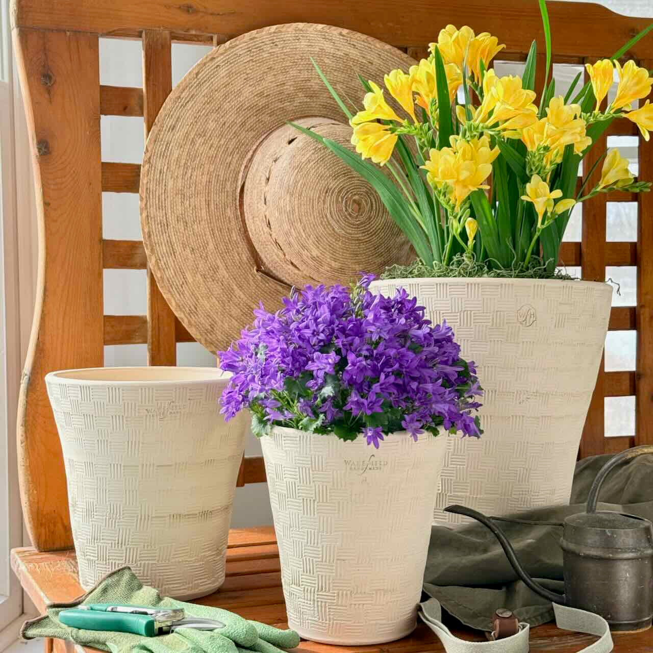 Basketweave Full Pot with Saucer - Wakefield Handmade