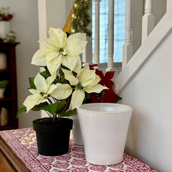 Poinsettia Cachepot - Wakefield Handmade