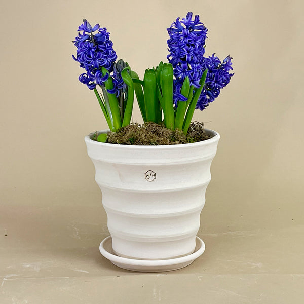 Furrowed Flower Pot with Saucer - Wakefield Handmade Furrowed Flower Pot with Saucer - Wakefield Handmade
