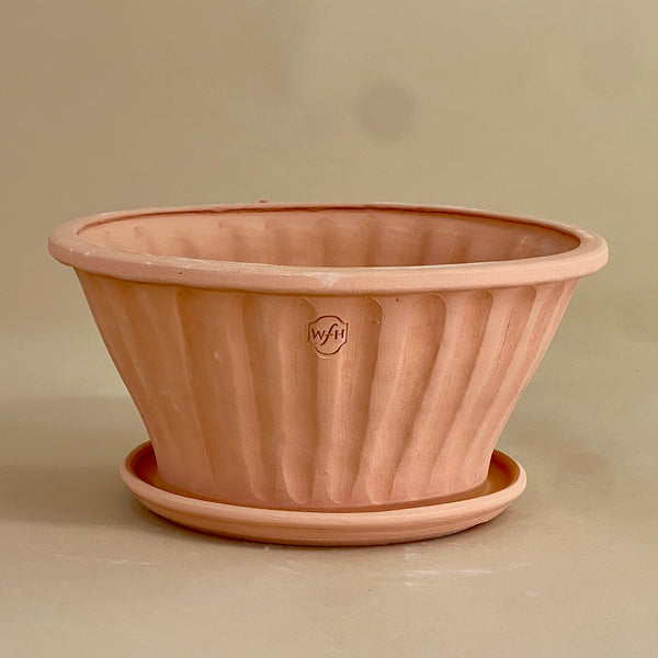 Fluted Paperwhite Pot with Attached Saucer - Wakefield Handmade