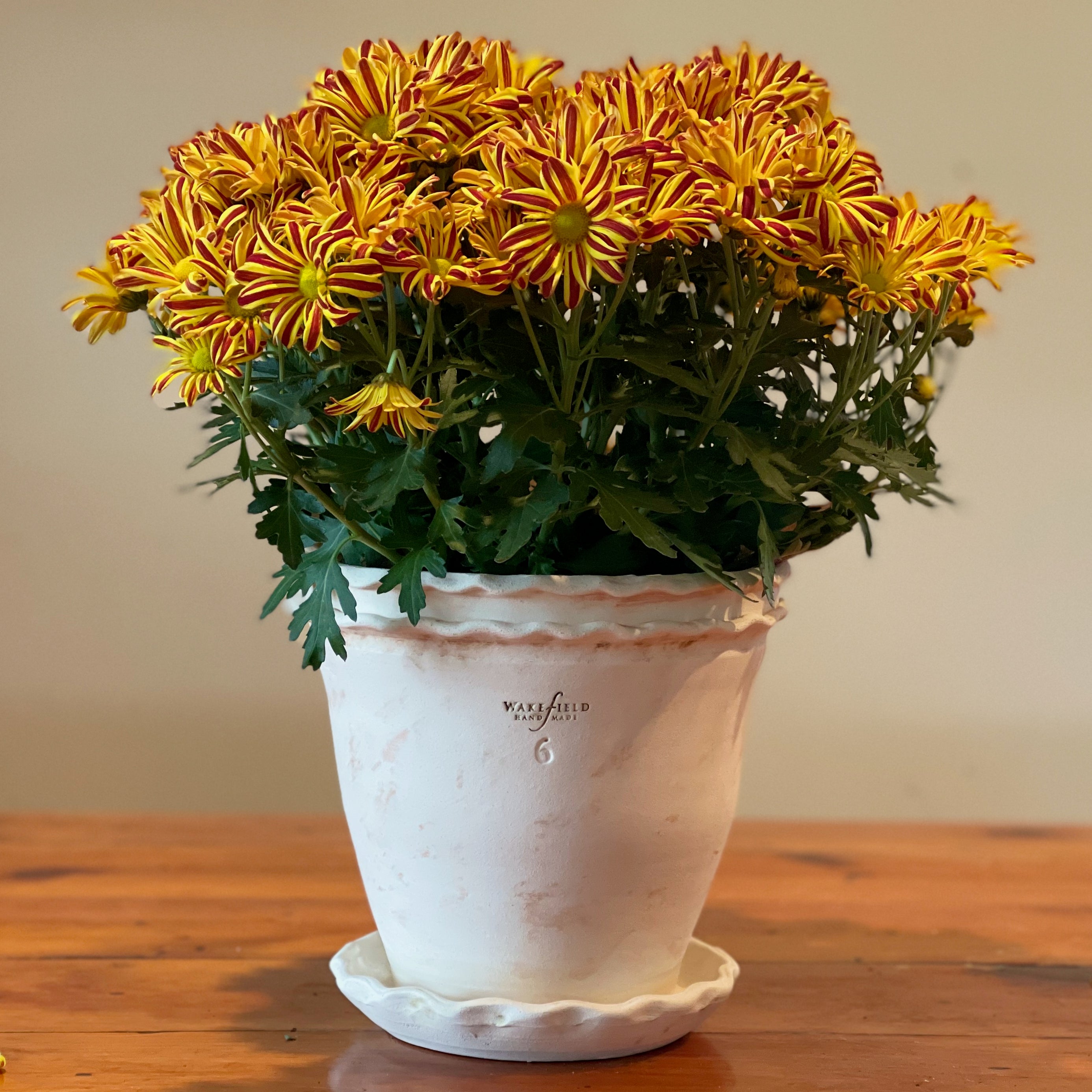 Studio in Stock - Wakefield Handmade